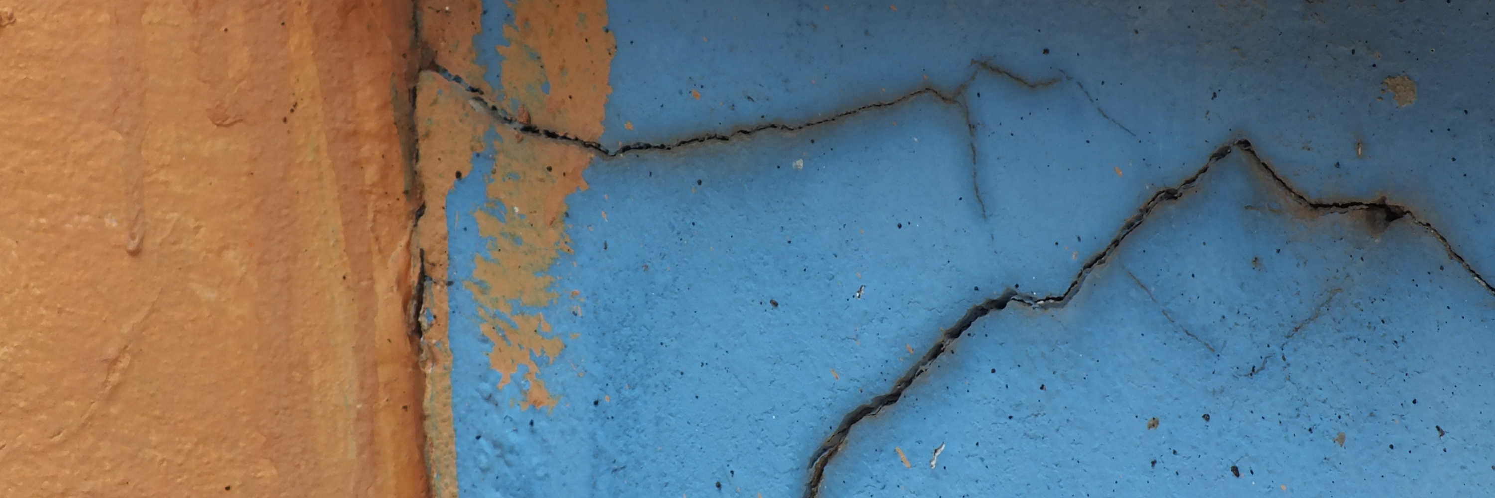 Building Surveying | RICS Online Academy