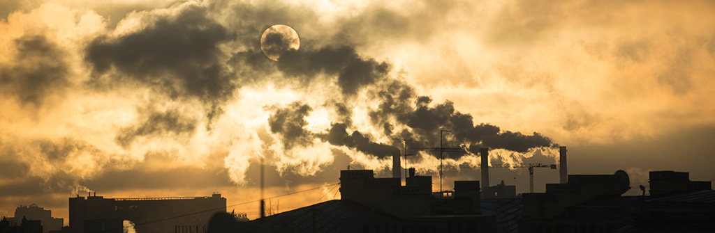 Construction Project Management | RICS Online Academy